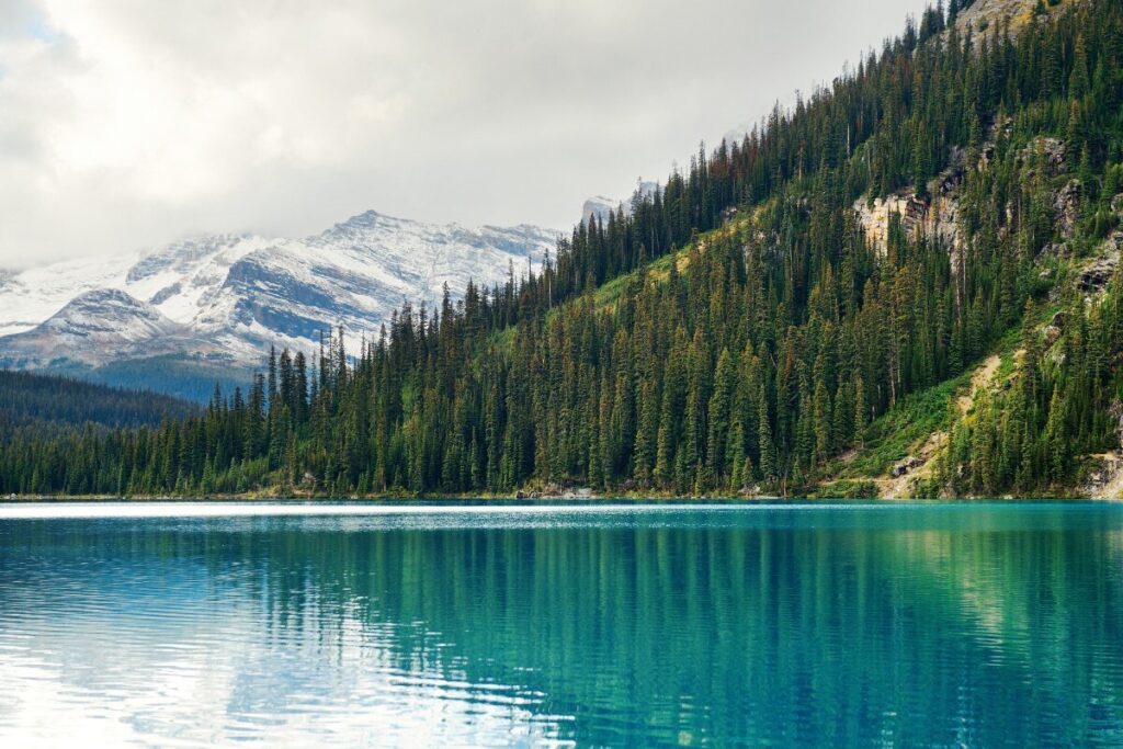Best Hikes in Yoho National Park That Will Leave You Speechless - Ruhls ...