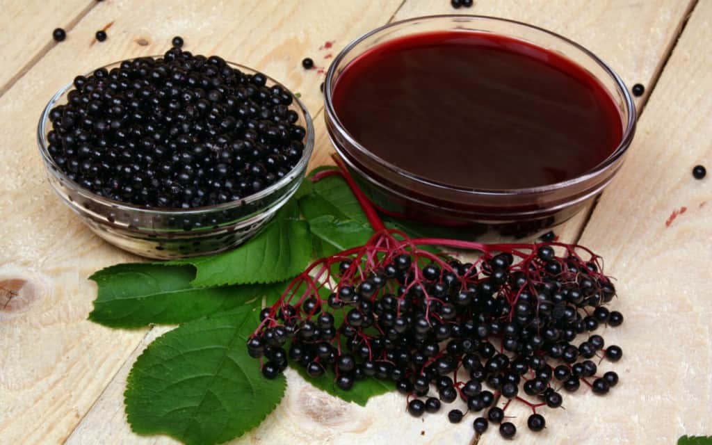 Authentic Drinks from Around the World - Ruhls of the Road