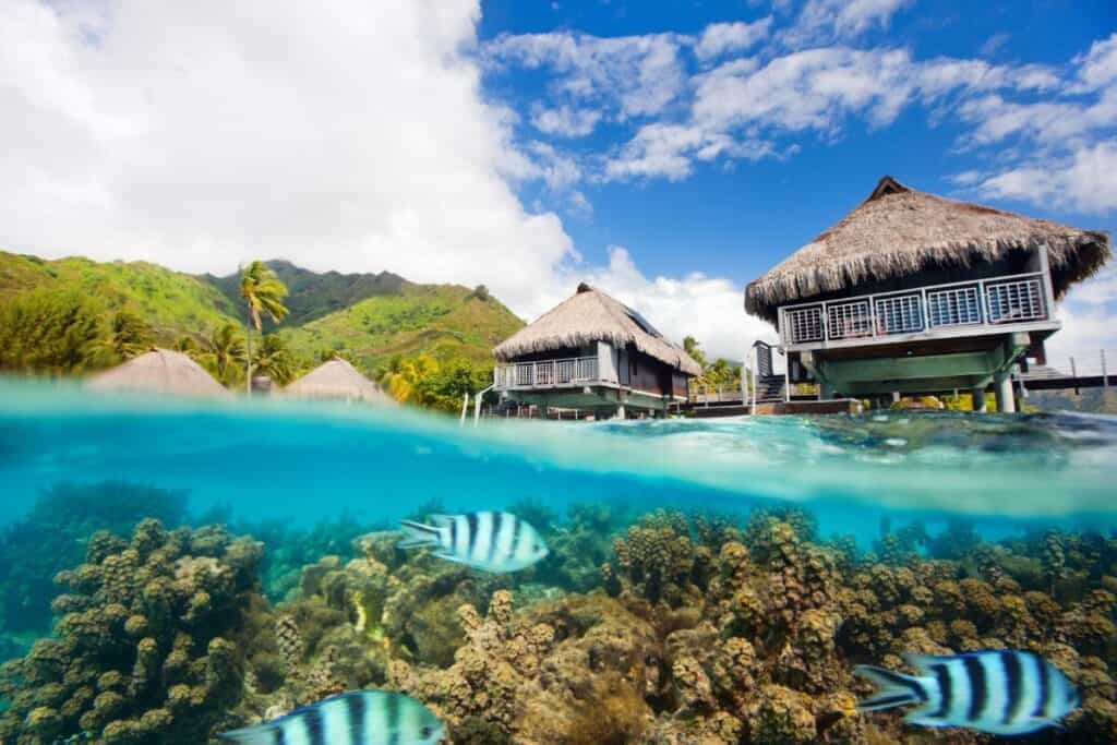 Moorea Ferry: Easy & Cheap Way to Island Hop - Ruhls of the Road