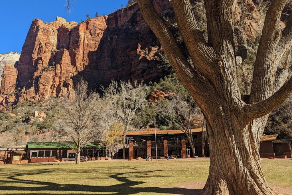 One Perfect Day In Zion National Park - Ruhls of the Road